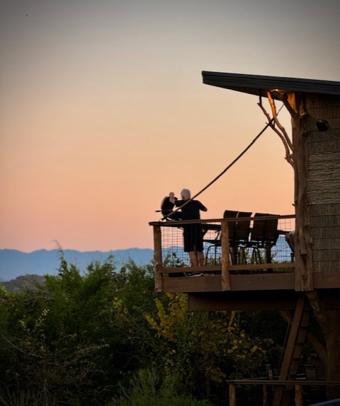 Explore the Best of the Smoky Mountains This Fall: Your Ultimate Guide ...